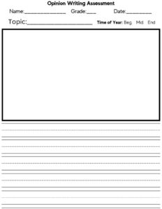 Opinion Writing Assessment - Dill Purple Geniuses
